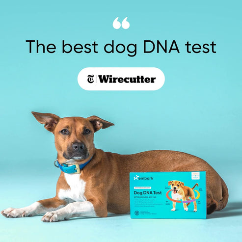 Embark Breed & Health Kit - Dog DNA Test – Petshavenaus