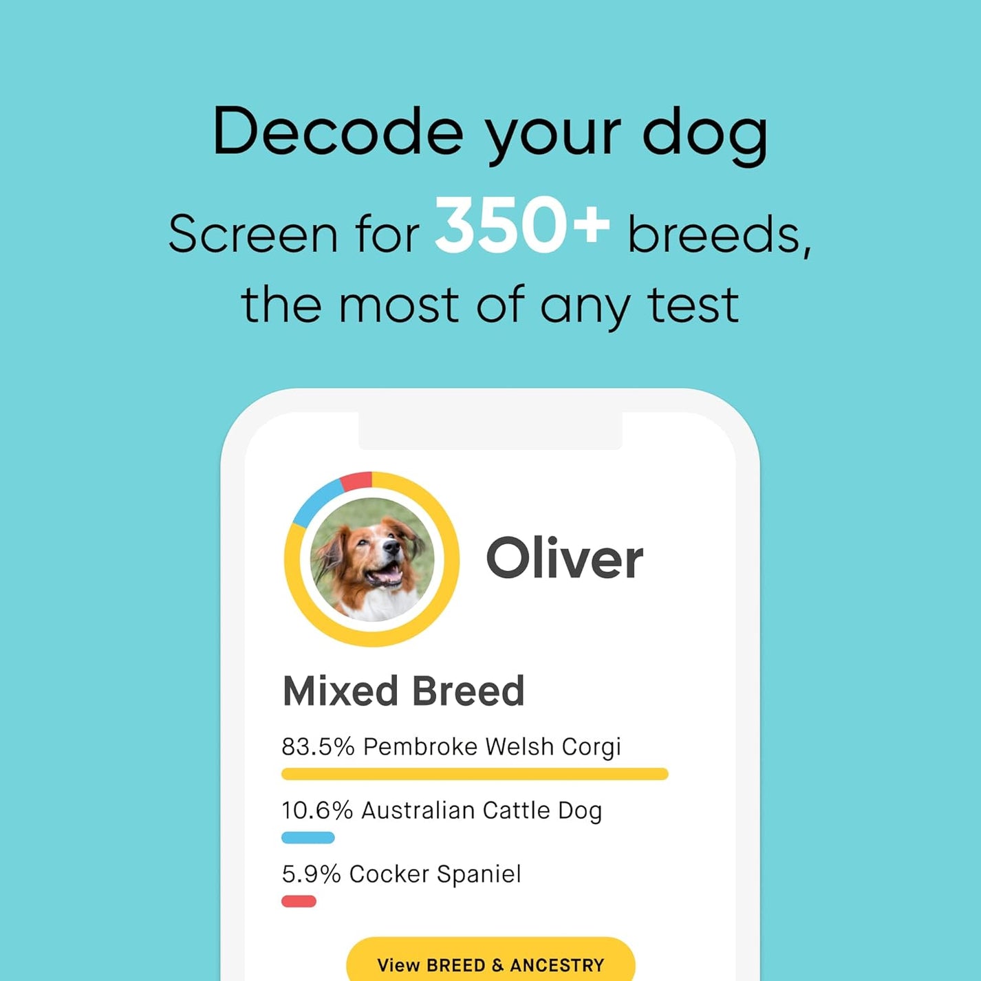 Embark Breed & Health Kit - Dog DNA Test – Petshavenaus