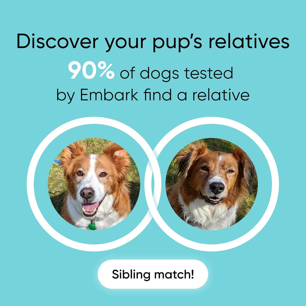 Embark Breed & Health Kit - Dog DNA Test – Petshavenaus