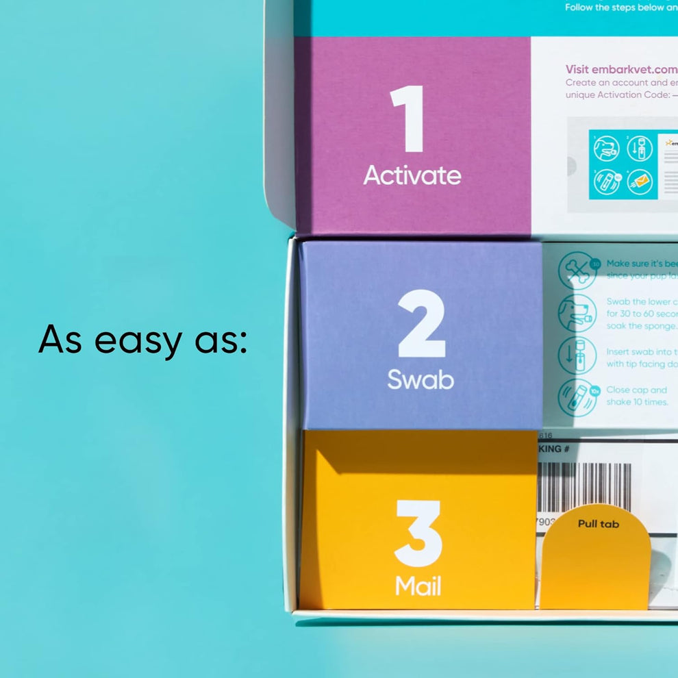 Embark Breed & Health Kit - Dog DNA Test – Petshavenaus