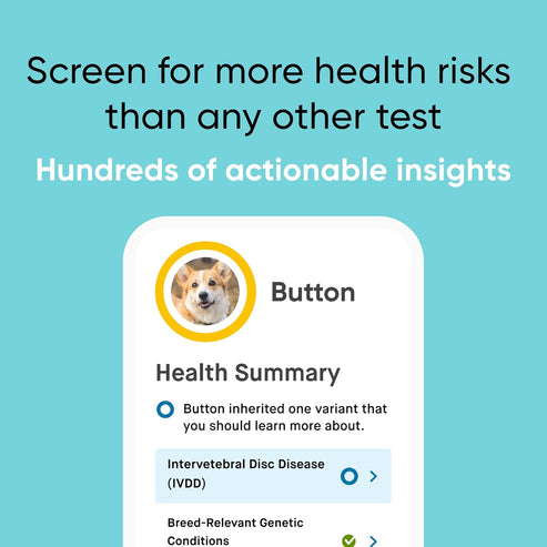 Embark Breed & Health Kit - Dog DNA Test – Petshavenaus